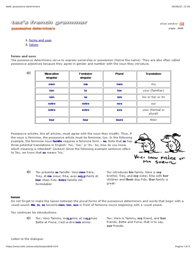 Det6: Possessive Determiners | PDF | Grammatical Gender | Noun