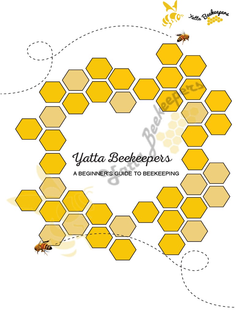Yatta Beekeepers: A Beginner'S Guide To Beekeeping | PDF | Honey Bee ...