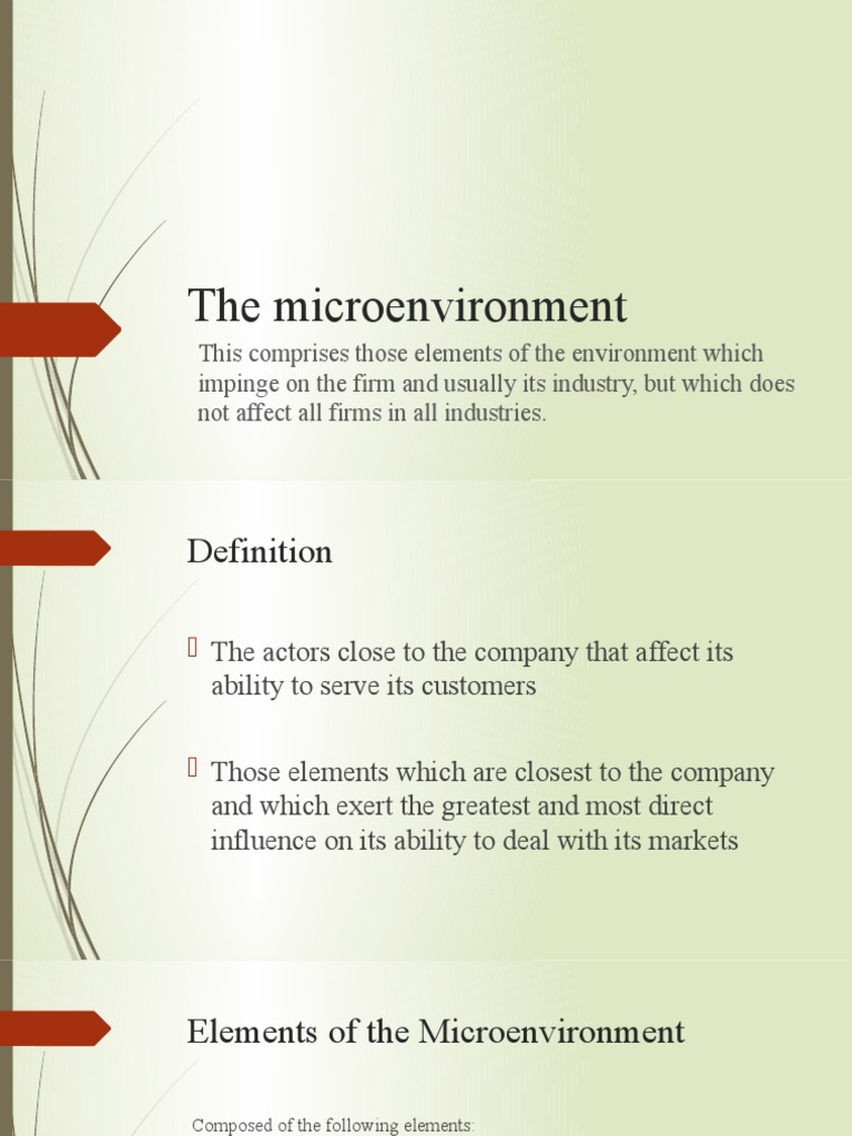 The Micro Environment | PDF | Marketing | Mass Media
