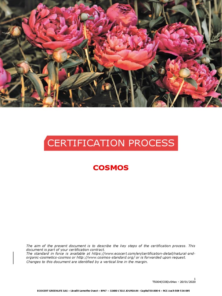 Certification Process: Cosmos | PDF | Audit | Auditor's Report
