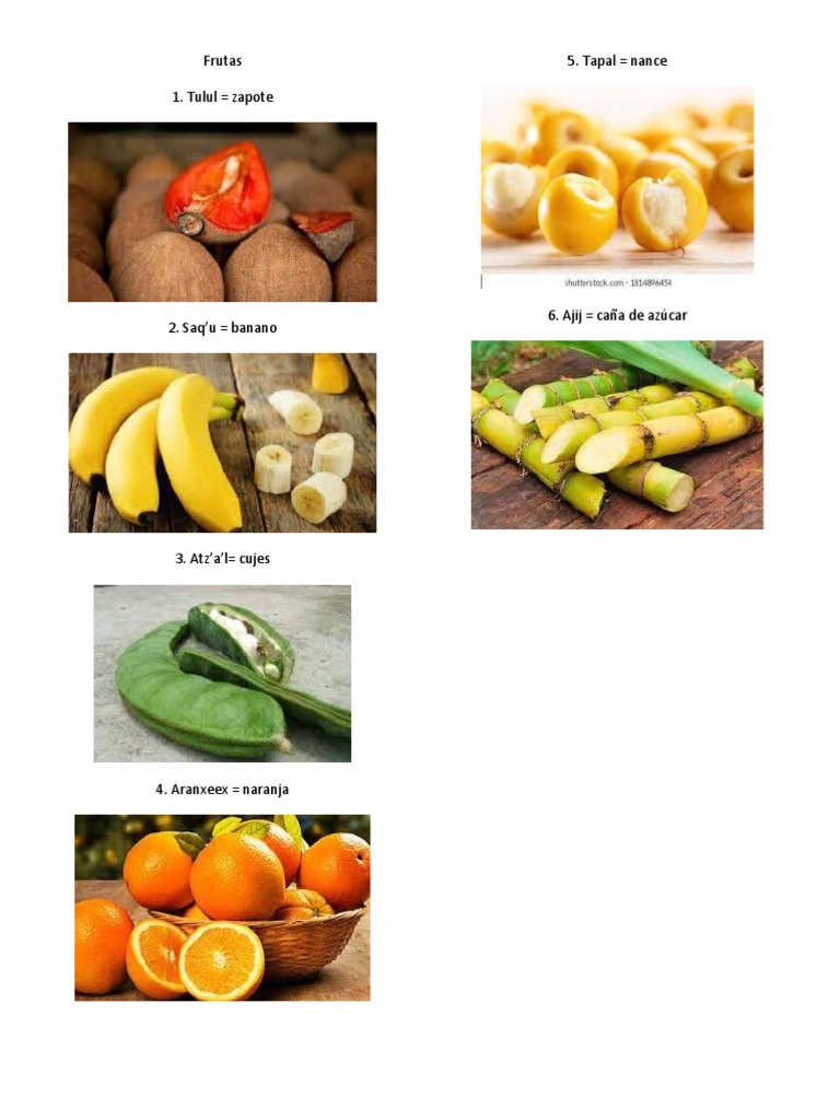 Frutas 1. Tulul Zapote 5. Tapal Nance | PDF