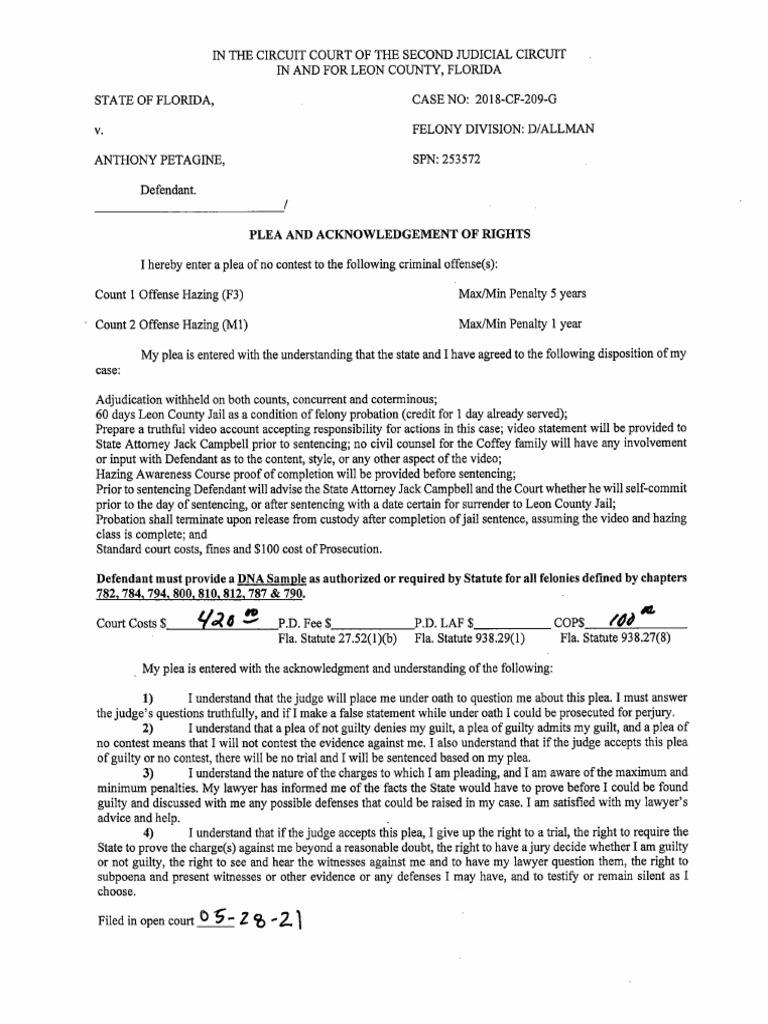 Plea Deal Anthony Petagine | PDF