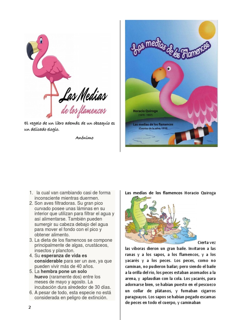Libro Correcto Las Medias de Los Flamencos | PDF | Aves | Naturaleza