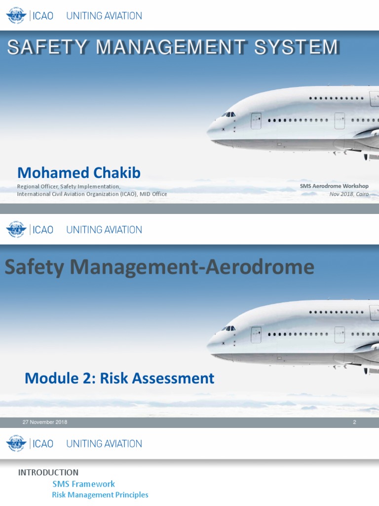 M2 1 SMS - Aerodrome - Risk Assessment Hazard Log | PDF | Risk ...