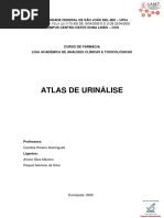 Atlas de Urinalise1 | PDF