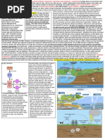 Crime Busters Cheat Sheet | PDF | Nucleotides | Chemistry