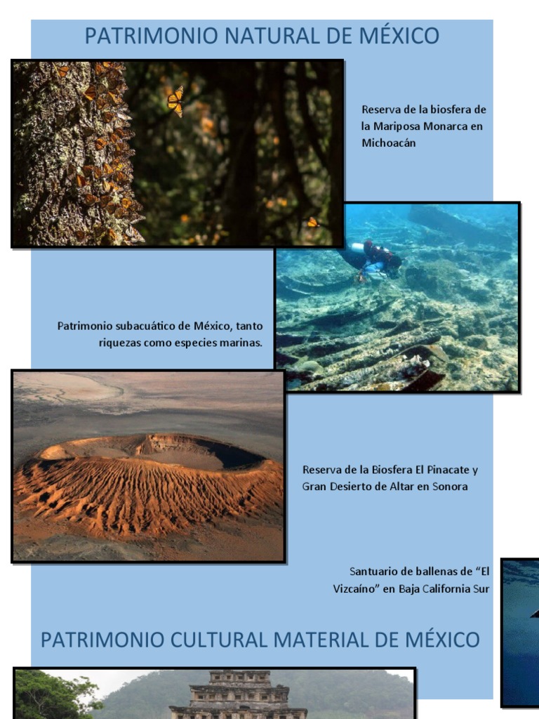 Collage de Geografía | PDF