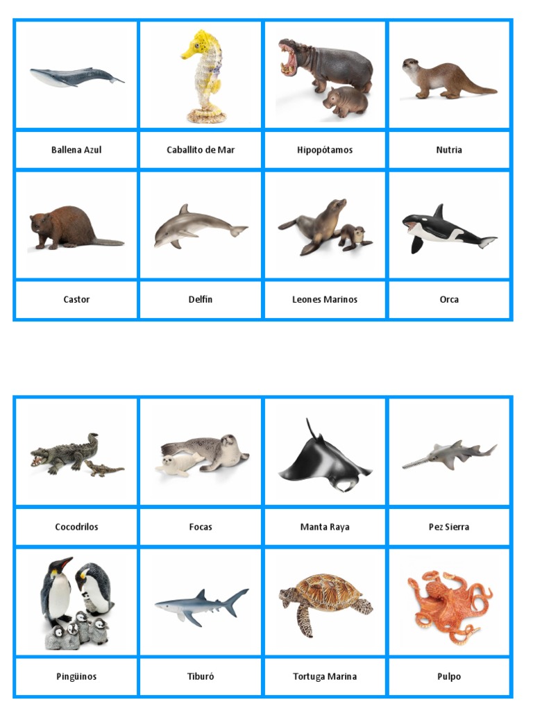 Tarjetas Animales Acuaticos-Terrestres-Voladores Imprenta | PDF