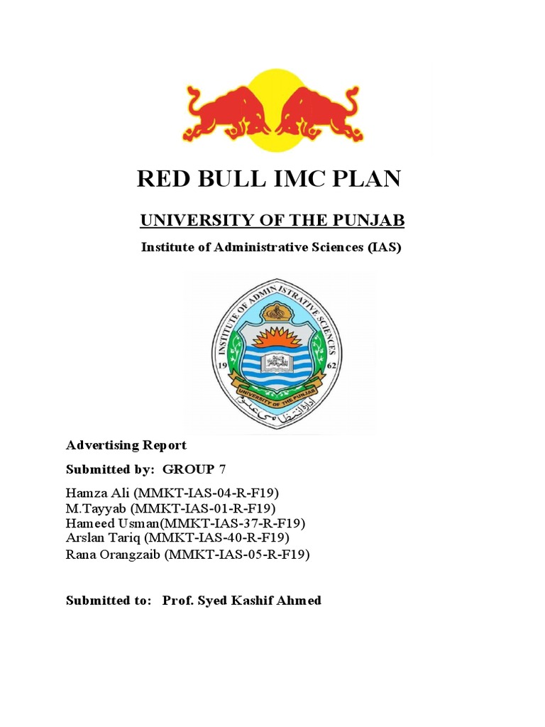 Red Bull Imc Plan: University of The Punjab | PDF | Market Segmentation ...