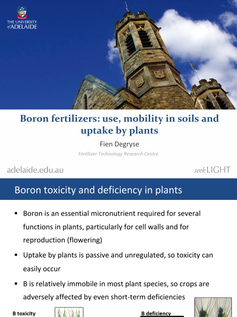 Boron Fertilizers: Uses and Mobility | PDF | Plant Nutrition | Fertilizer