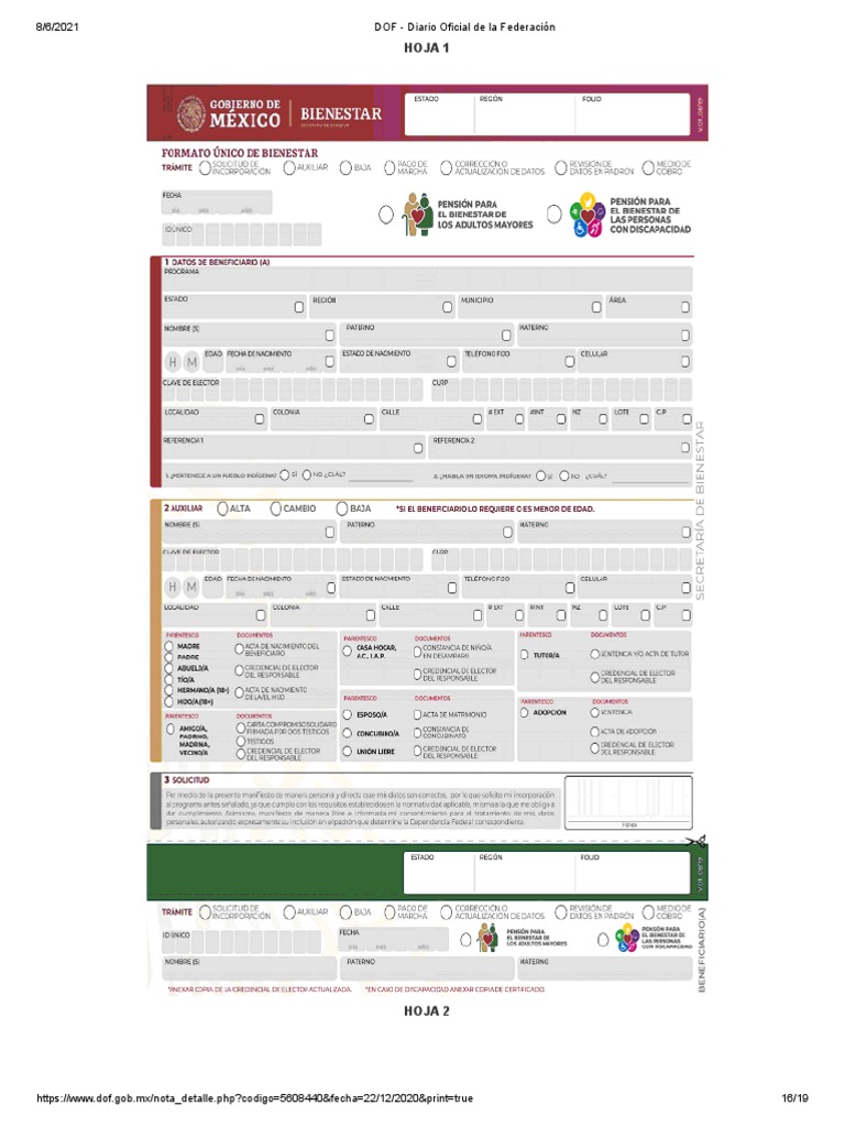 Formato Único Del Bienestar | PDF