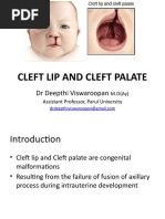 Cheiloplasty and Palatoplasty | PDF | Lip | Face