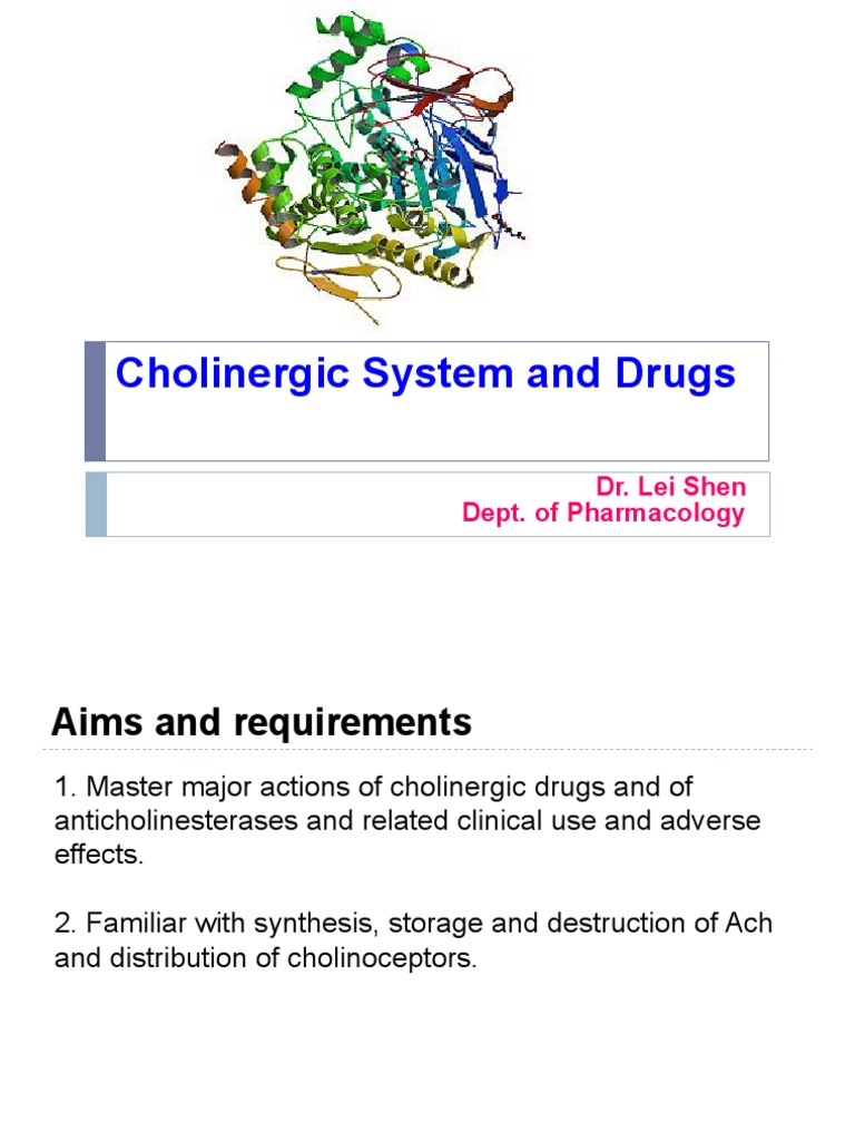 Cholinergic System and Drugs | PDF | Acetylcholine | Neurotransmitter