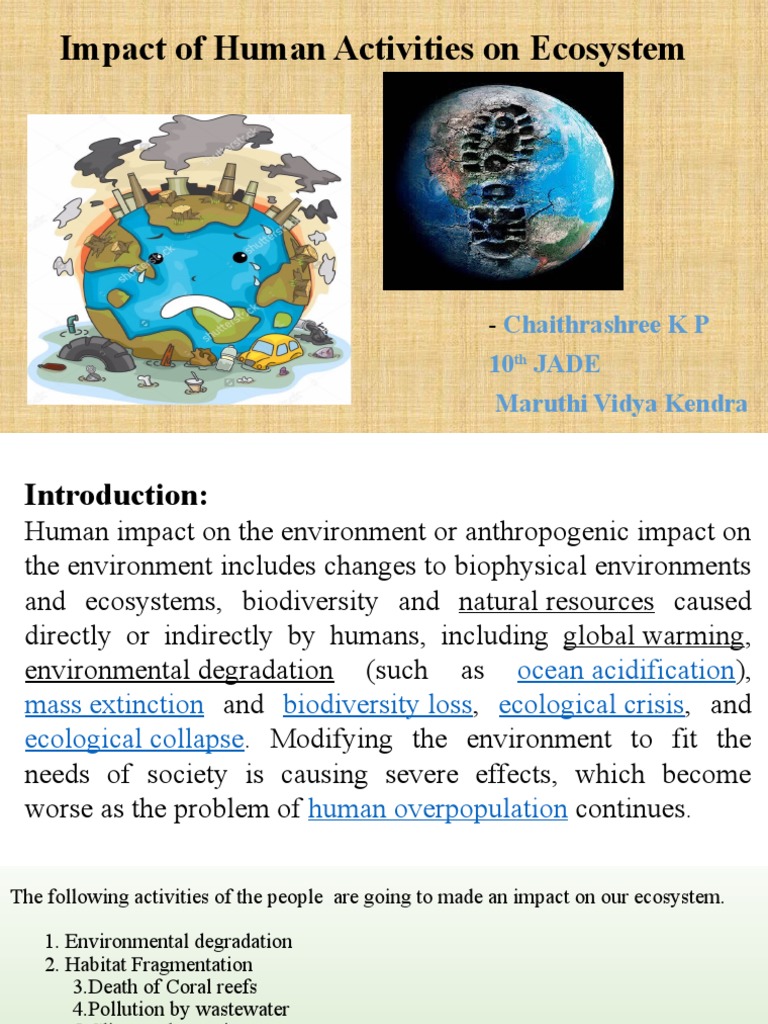 Human Activities Impacting Ecosystems | PDF | Human Impact On The ...
