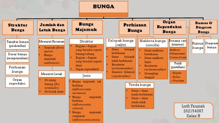 Peta Konsep Bunga | PDF