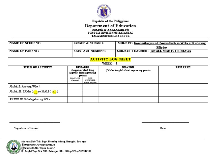 Department of Education: Activity Log Sheet | PDF