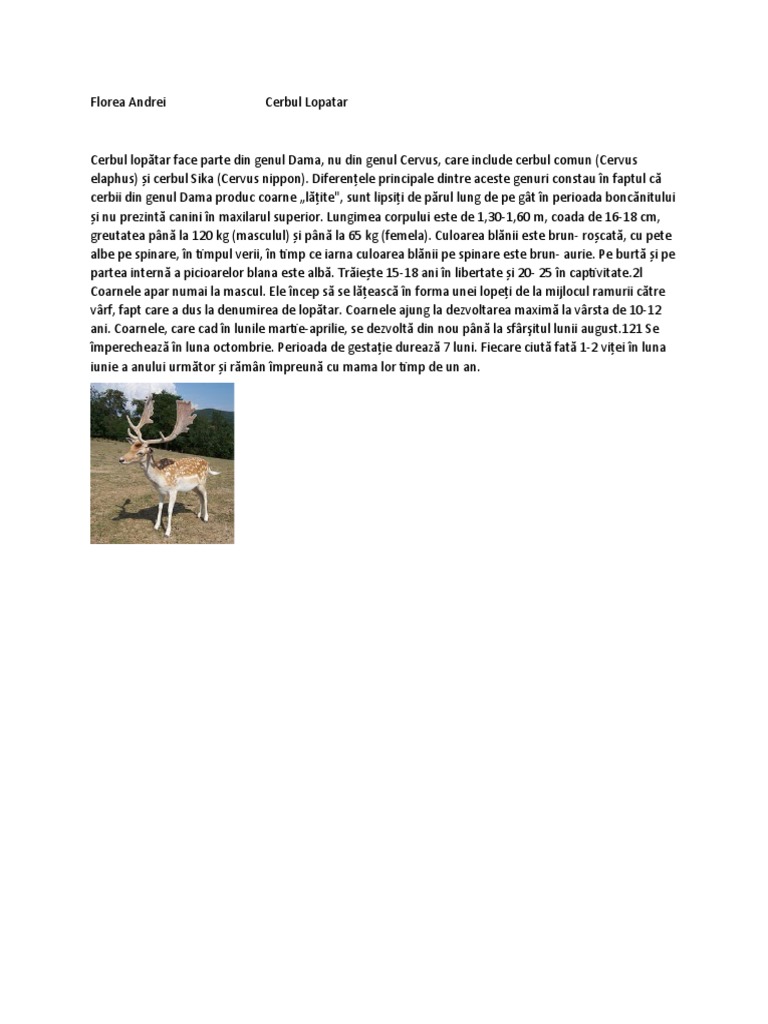 Cerbul Lopatar | PDF