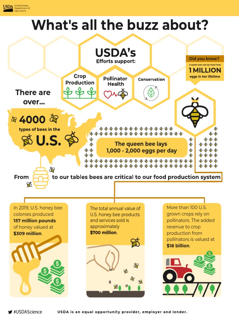 Pollinator Week Infographic | PDF
