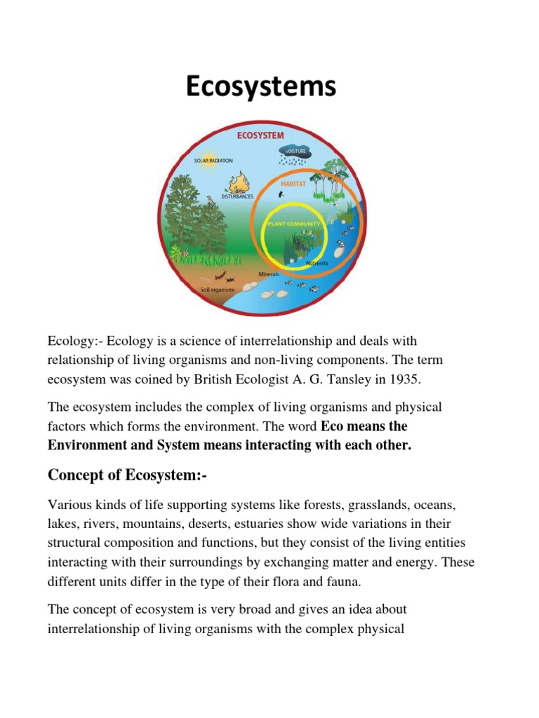 2 Ecosystems | PDF | Food Web | Ecosystem