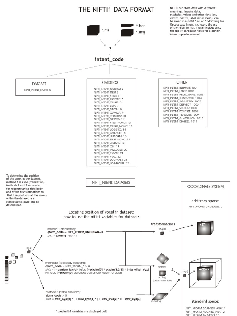 The Nifti1 Data Format: .Nii .Img .HDR | PDF | Voxel | Data Set