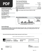Sample PSEG Bill | PDF