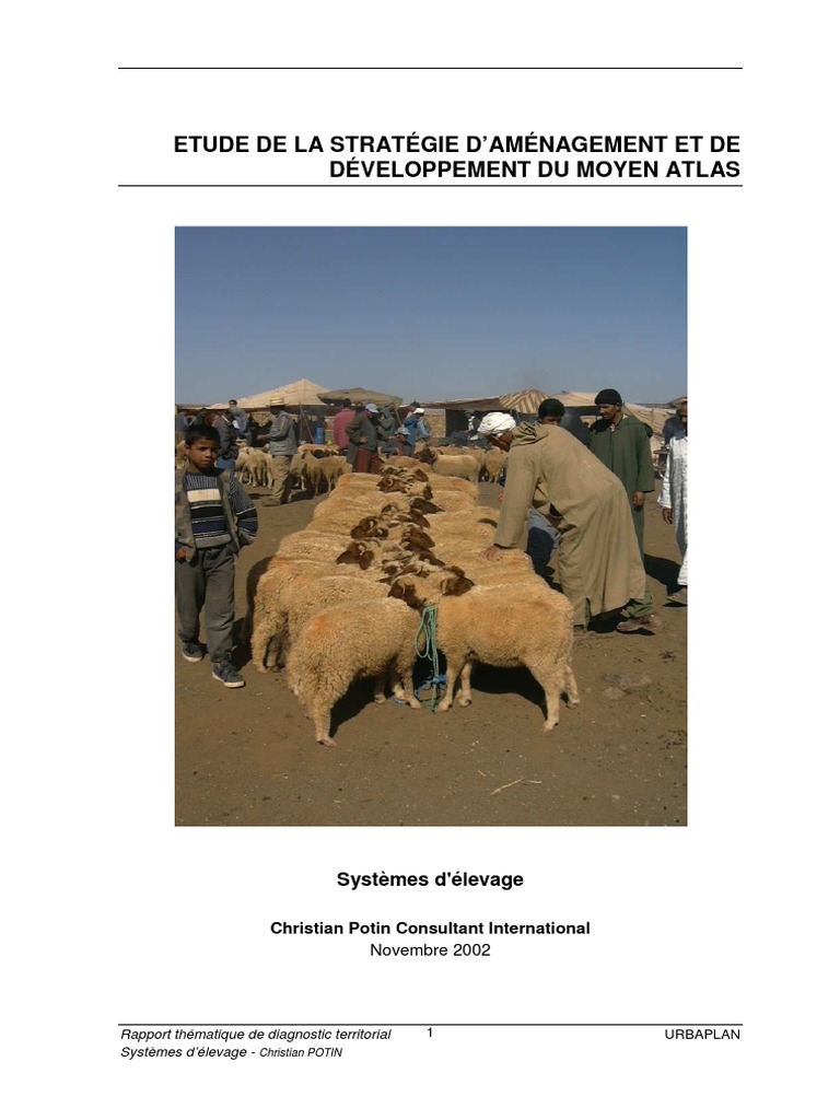 Rapport Thematique de Diagnostic Territo | PDF | Mouton | Pastoralisme