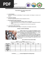 Sample Individual Professional Development Plan (IPDP) Goals | PDF ...