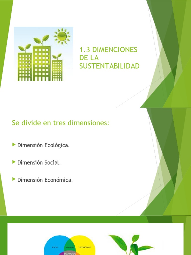 1.3 Dimensiones de La Sustentabilidad | PDF