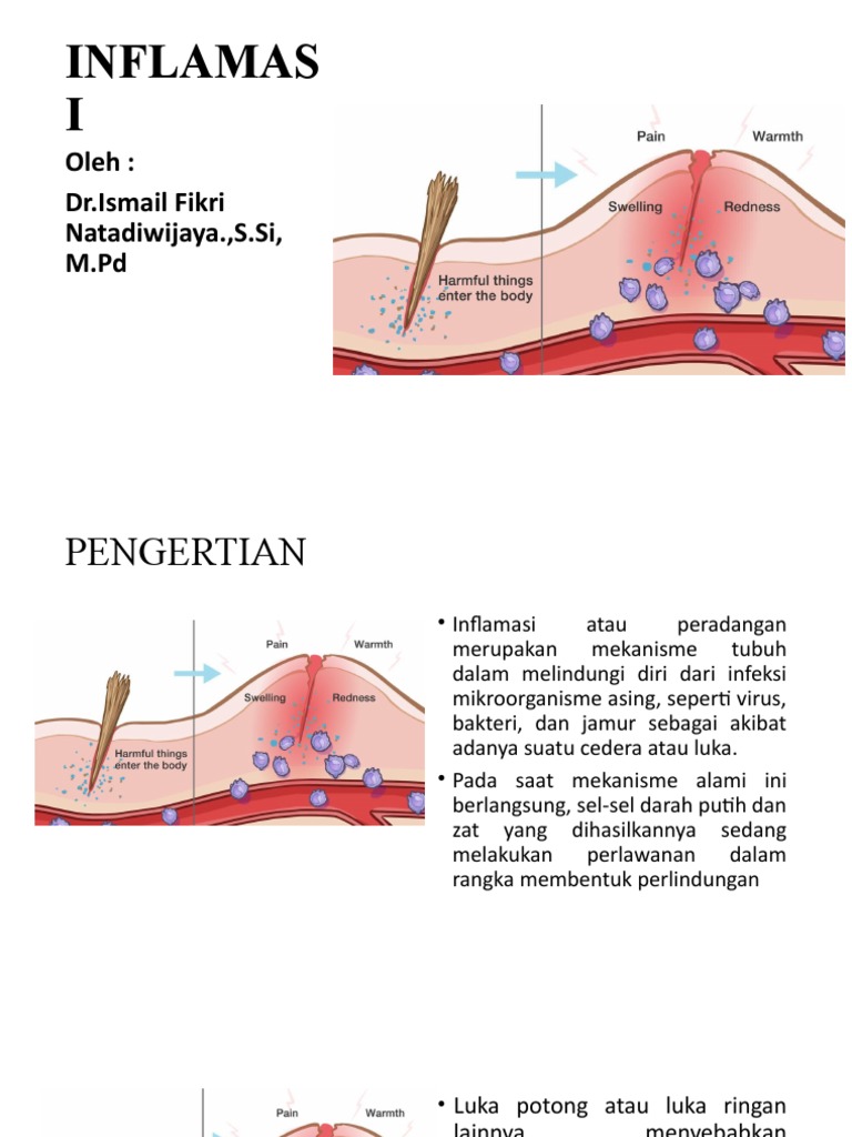 Inflamasi | PDF