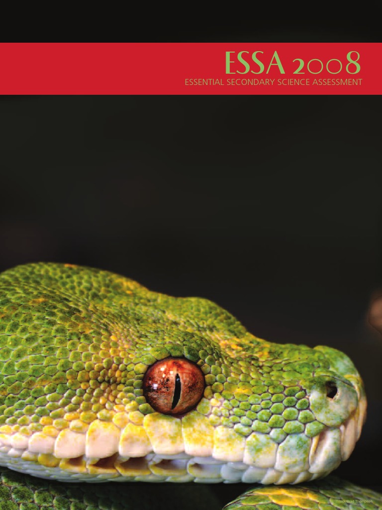 ESSA - 2008 - Stimulus Magazine | PDF | Comet | Breathing