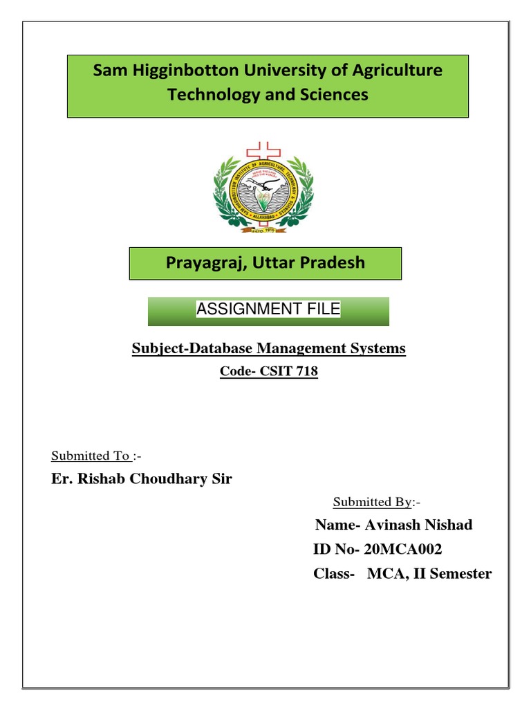20mca002 Assignment 2 Pdf Relational Database Relational Model