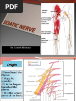 BASMI Scale | PDF | Anatomical Terms Of Motion | Knee