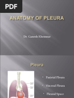 BASMI Scale | PDF | Anatomical Terms Of Motion | Knee