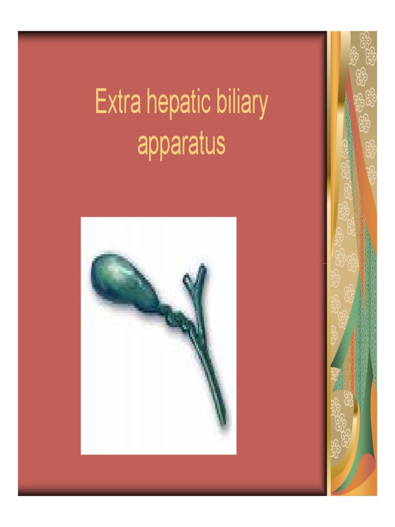Components of Extrahepatic Biliary System | PDF | Liver | Gallbladder