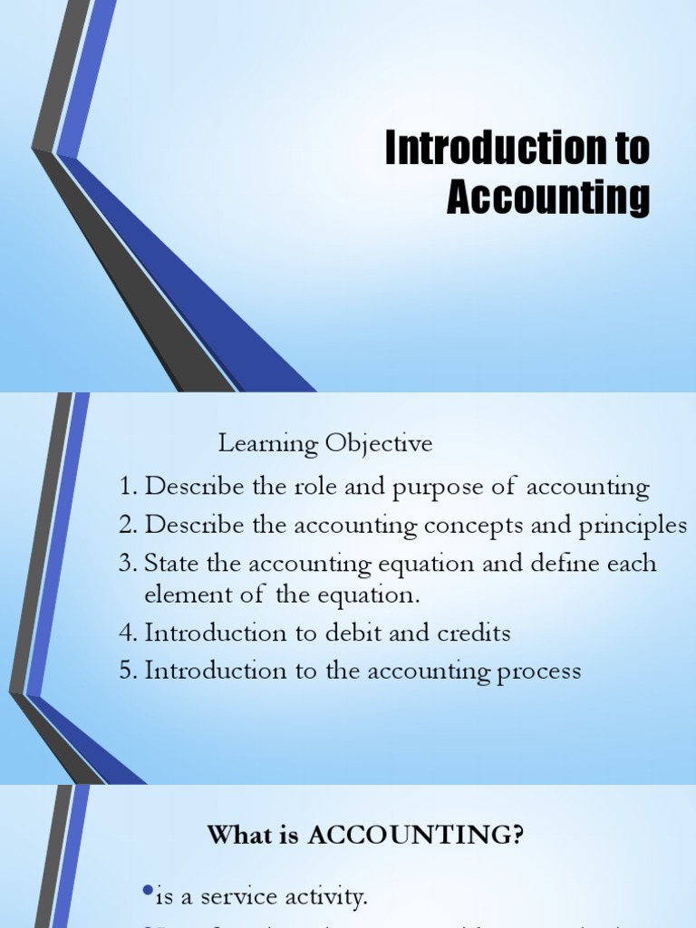Introduction to Accounting Basics | PDF | Debits And Credits ...