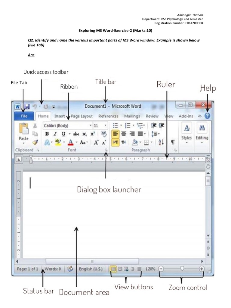 Ms Word Identifications and Namings | PDF