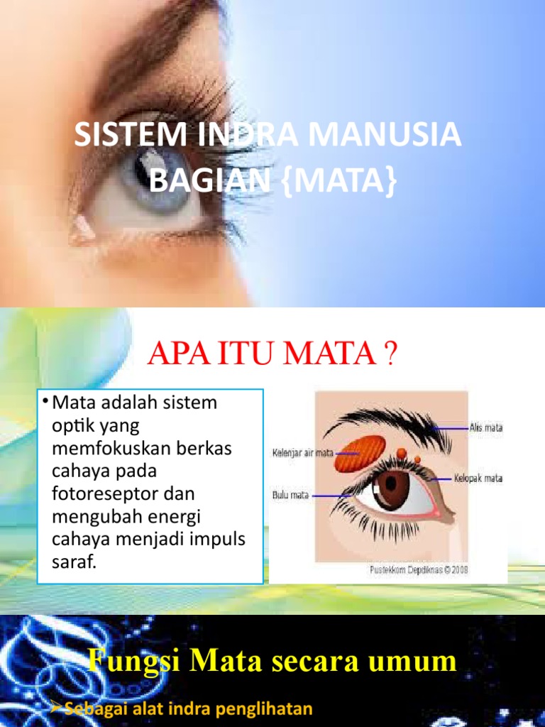 Indra Penglihat (Mata) | PDF