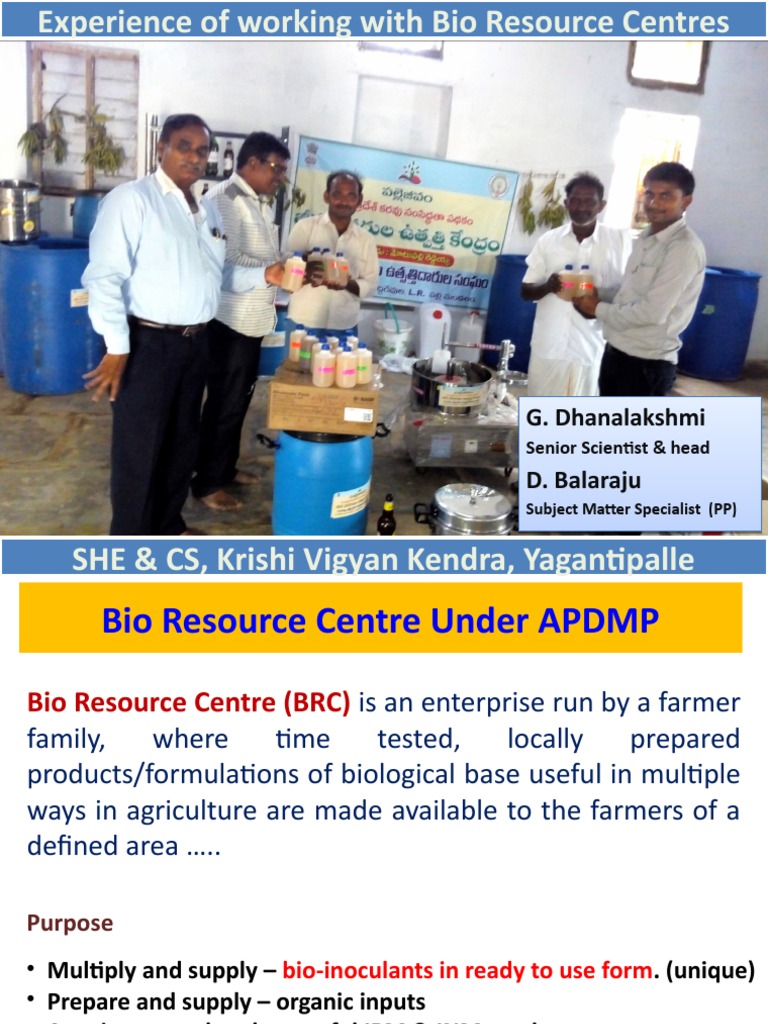 Experience With BRCs | PDF | Entrepreneurship | Business