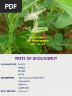 Coromandel | PDF | Fertilizer | Soil
