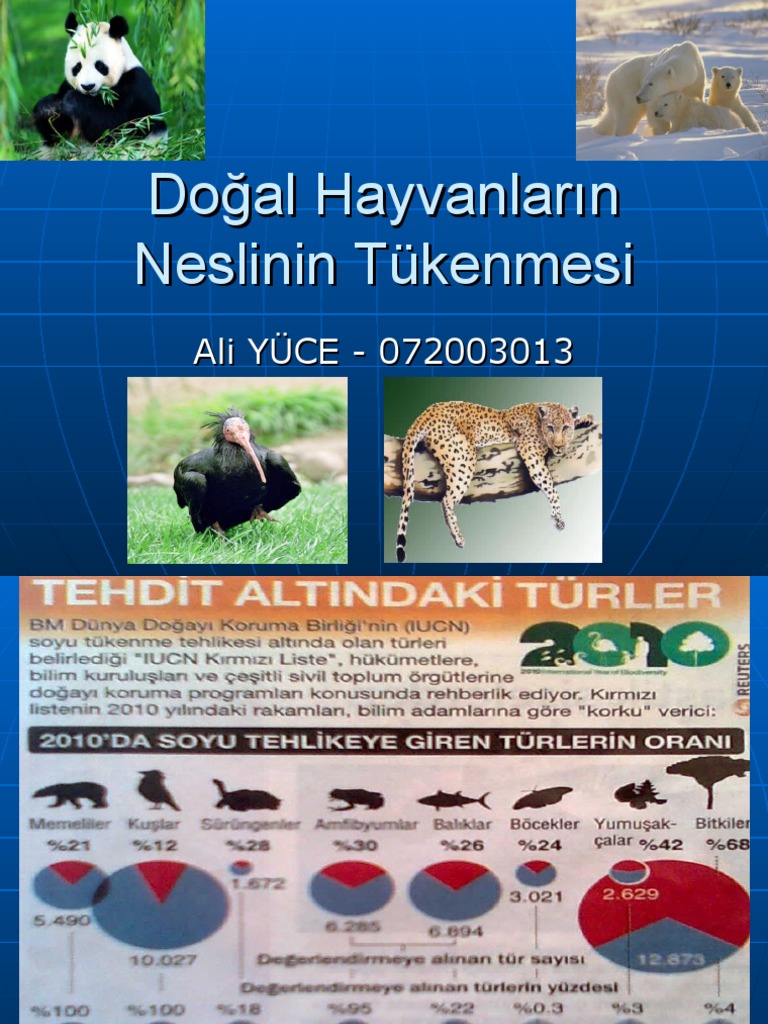 Nesli Tükenen Hayvanlar | PDF