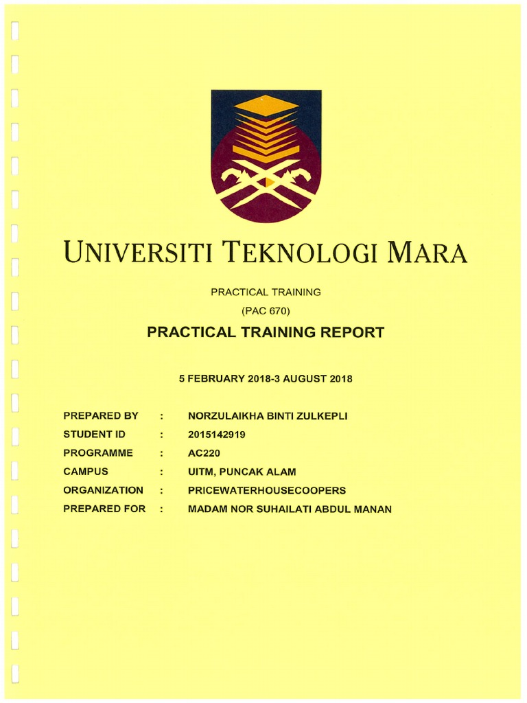 Practical Training Report Sample 1 - PWC | PDF