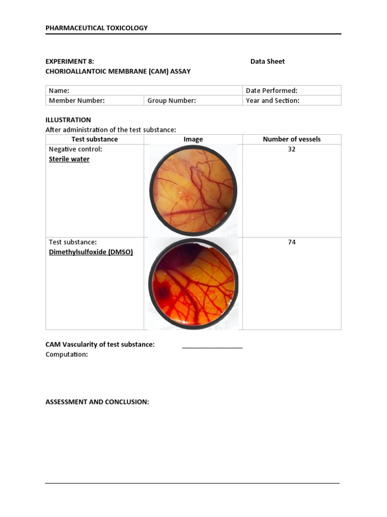 Name: Date Performed: Member Number: Group Number: Year and Section | PDF