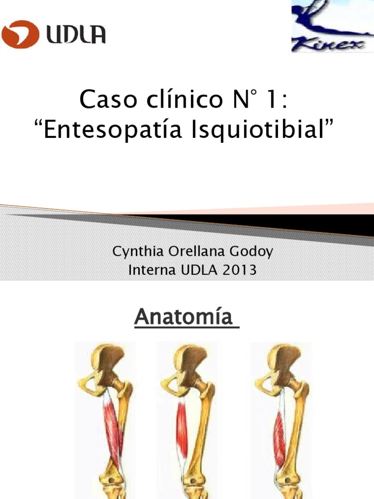 Entesopatia | PDF | Músculo | Enfermedades y trastornos