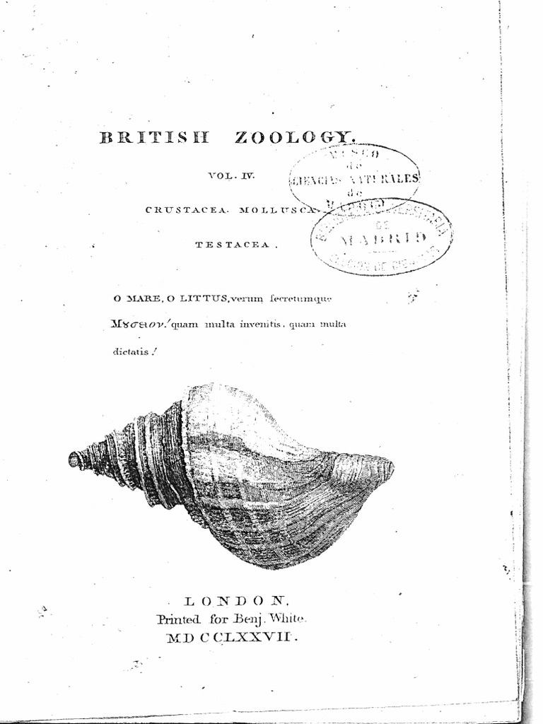 25mb File-Testing | Download Free PDF | Nature