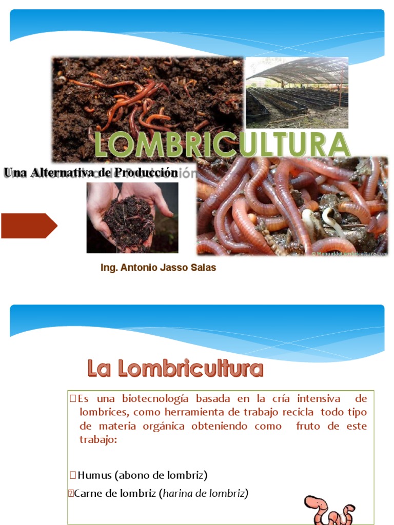 Lombricomposta Presentacion | PDF | Fertilizante | Suelo