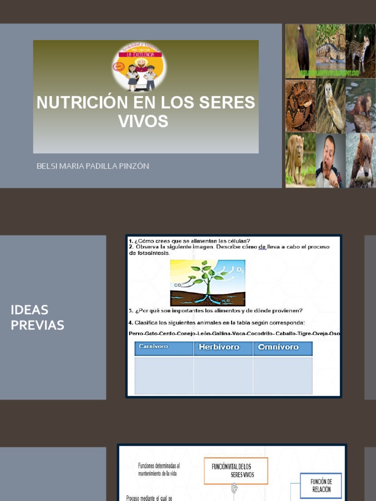 Nutricin en Los Seres Vivos | PDF