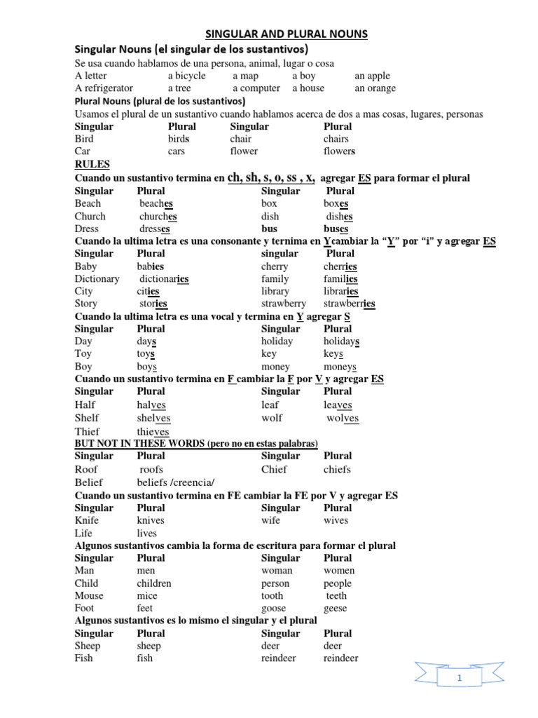 Práctica de Sustantivos: Singular y Plural | PDF | Plural | Grammatical ...