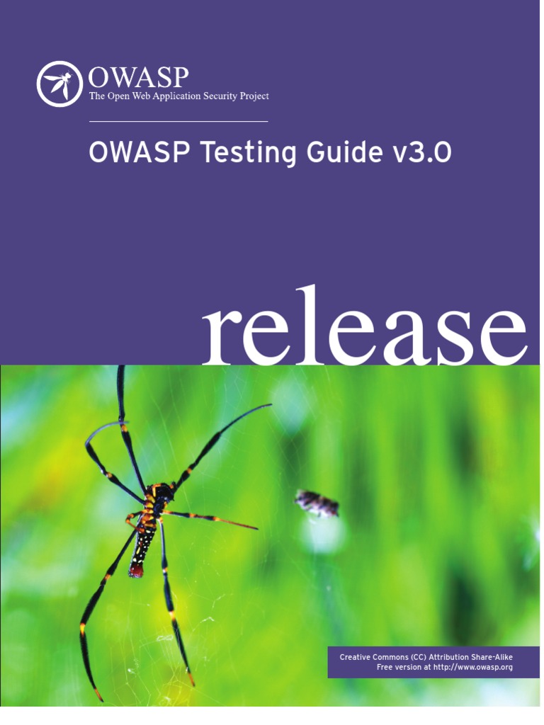 Owasp Testing Guide V30 Pdf Information Security Software Testing