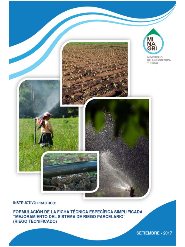 Instructivo para la Formulación de Ficha Técnica Específica Simplificada de RT 2017 290917 | PDF ...