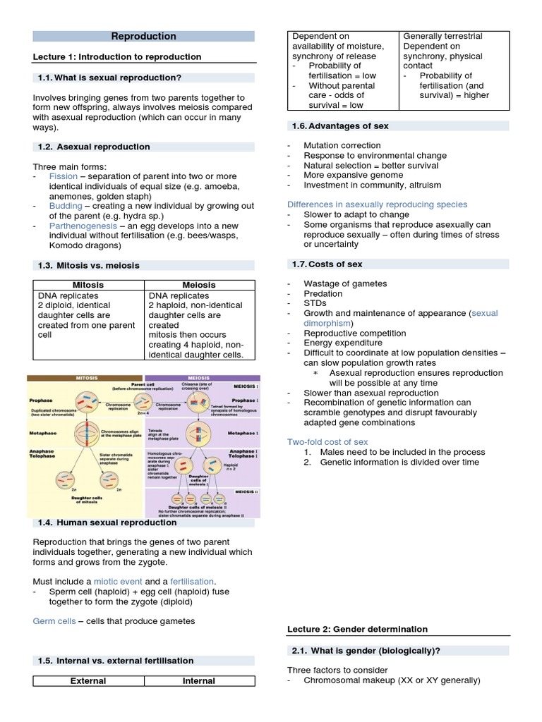 Reproduction Notes Biol1008 ANU | PDF | Menstrual Cycle | Puberty